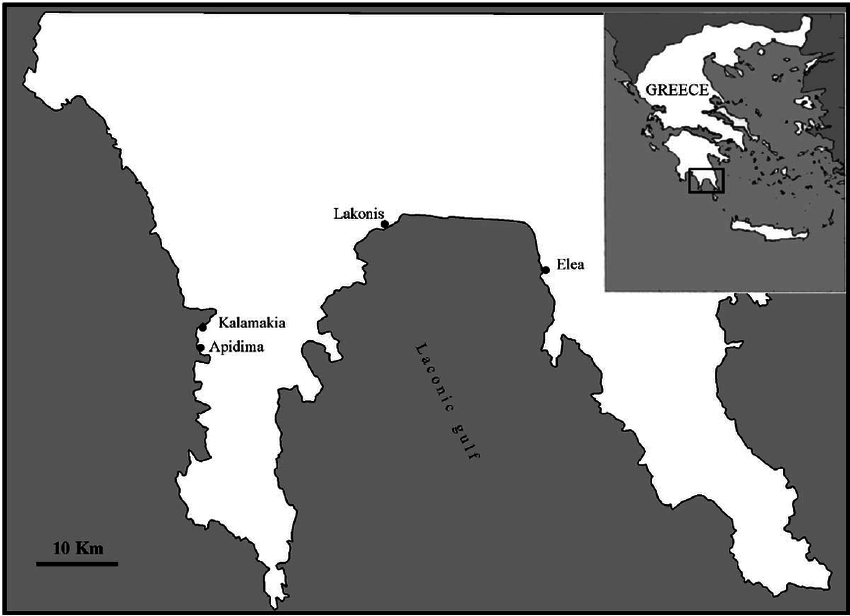 The Neanderthal finds from Lakonis, Mani peninsula, Peloponnese, Greece ...