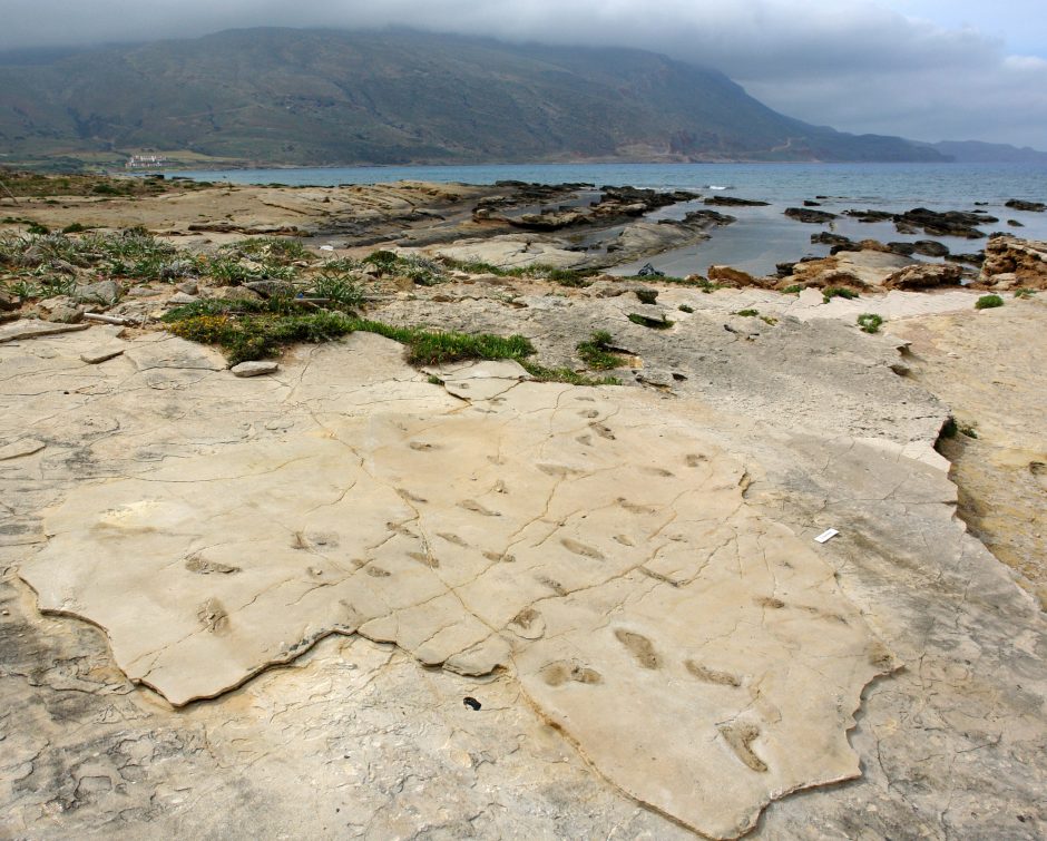 The oldest (5.7 Ma) human (hominin) footprint discovered in Crete ...
