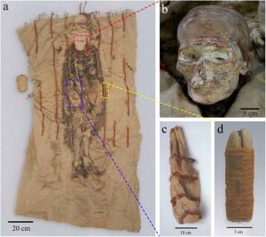 Tarim Basin, Xinjiang, China; Studies on well preserved mummies reveal ...