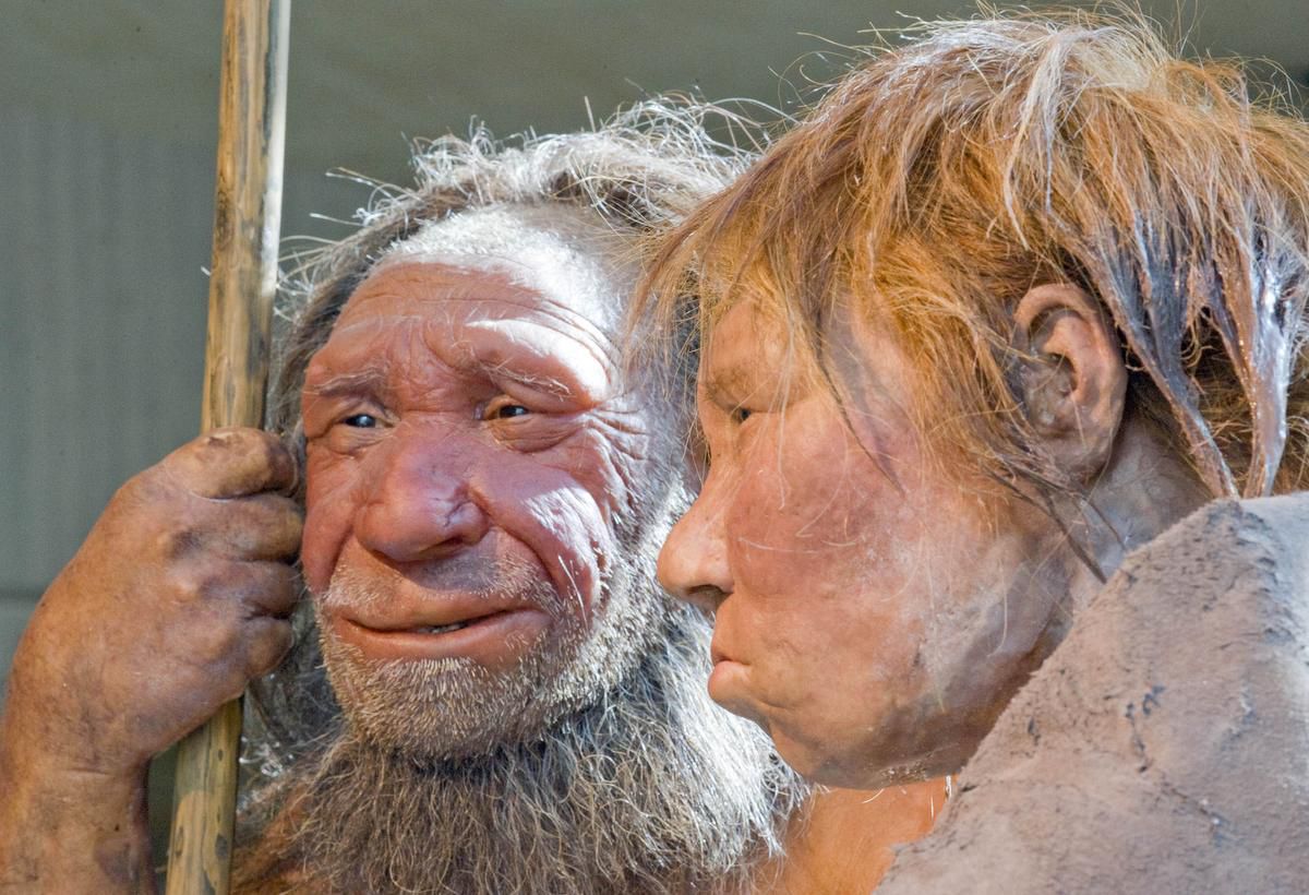 Cold and dry climate could have been responsible for the extinction of ...