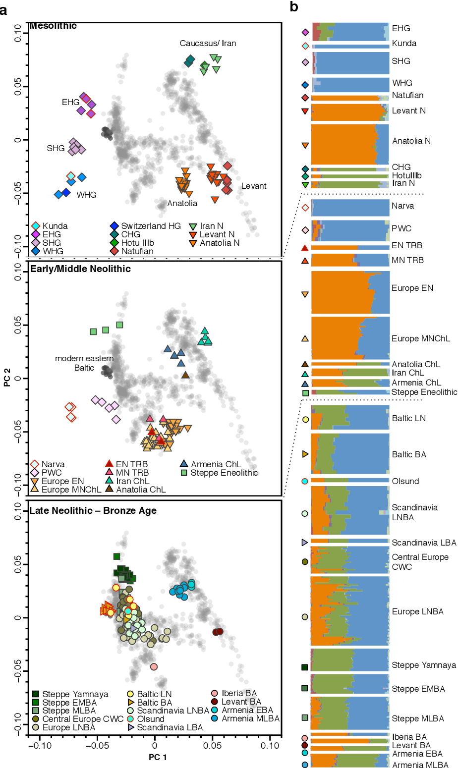 A Northern European population history based on human genomes analysis ...