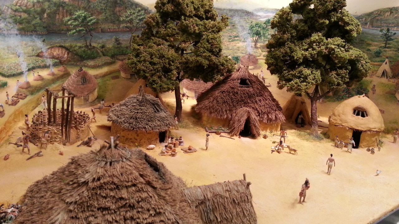 Domestication of pigs in Neolithic China 8,000 yBP- Likely ...