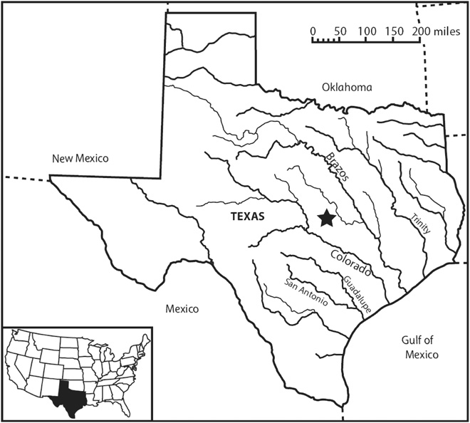 Artifacts older-than-Clovis at the Gault site, Texas, USA – Novo ...