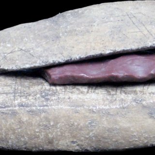 Artifacts older-than-Clovis at the Gault site, Texas, USA – Novo ...