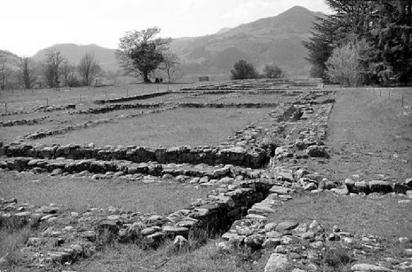 Ancient Roman Cuniculus