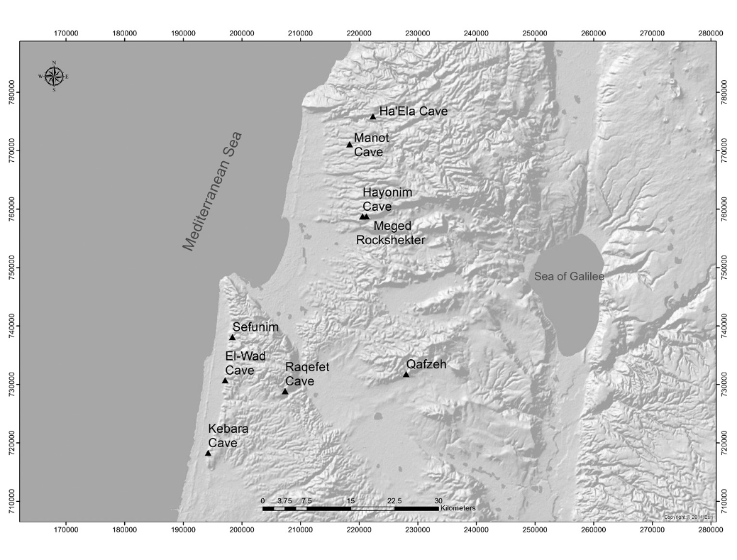 The “Levantine Aurignacian”; migration of a European population to the ...