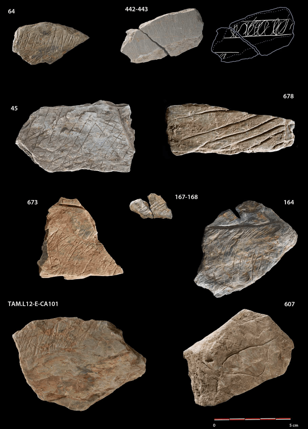 The Azilian Epipaleolithic Industry of Spain and France – Novo Scriptorium