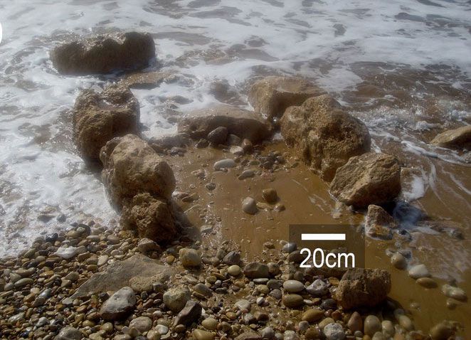 A 7,000 years old submerged coastal defence attempt (sea-wall) found at ...