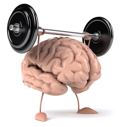 High and low exercise intensity found to influence brain function ...