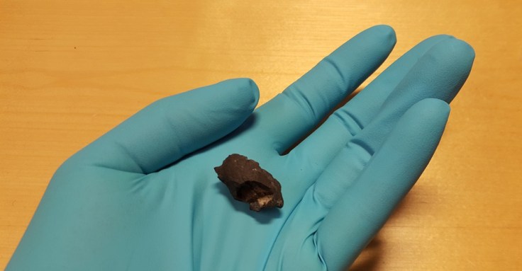 Ancient ‘chewing gum’ yields insights into people and bacteria of the ...