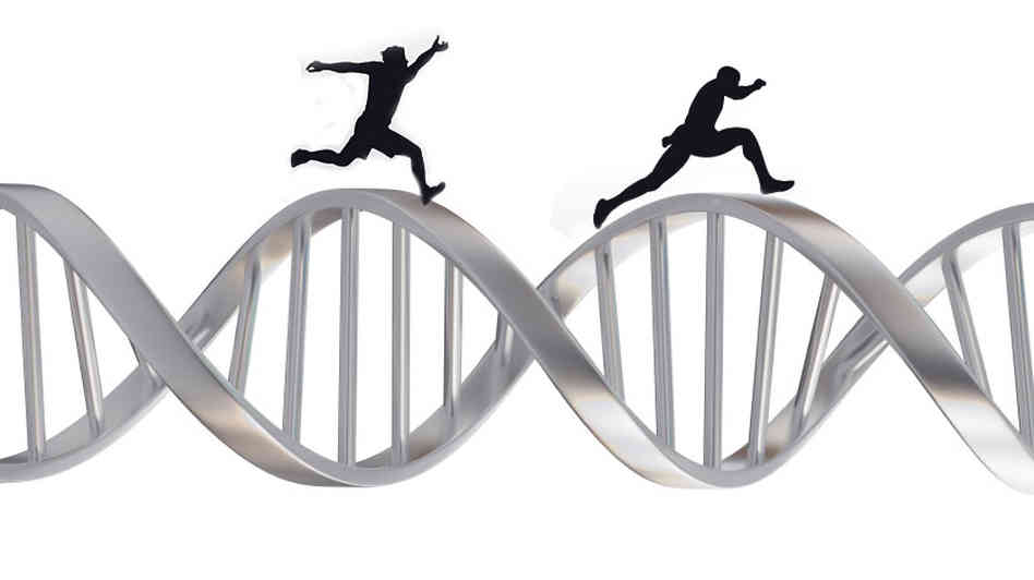 Scientists find link between genes and ability to exercise – Novo ...